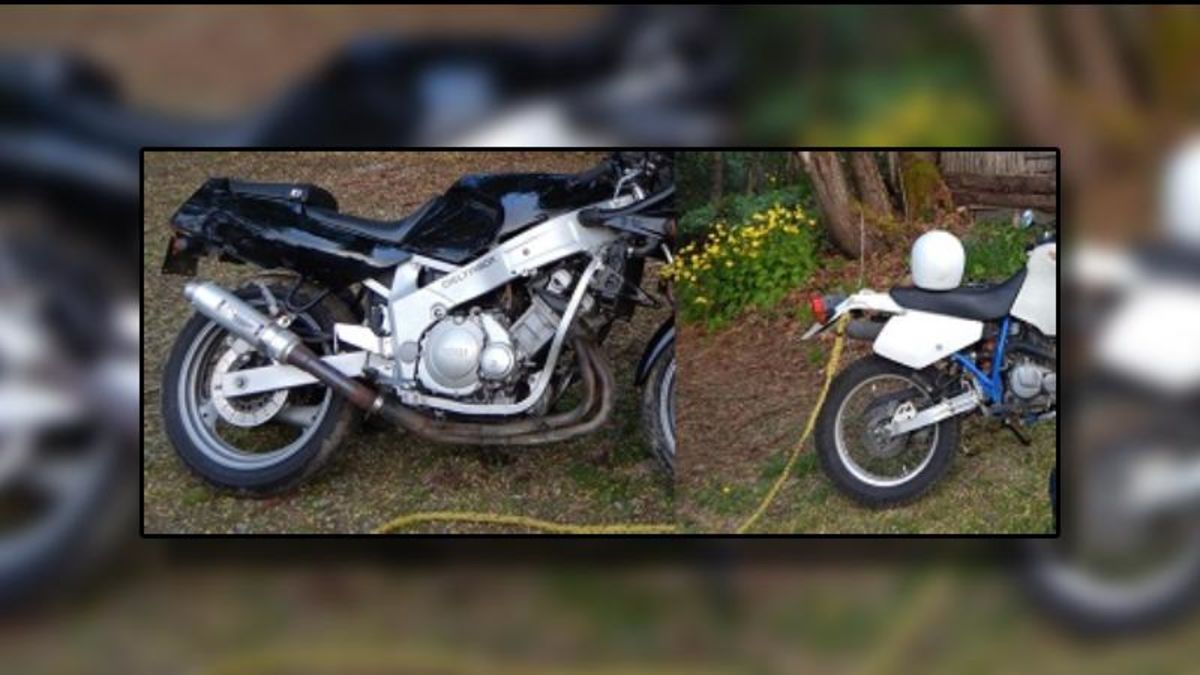 Police bust unlicensed rope-connected motorcycle riders on Hwy. 4 ...