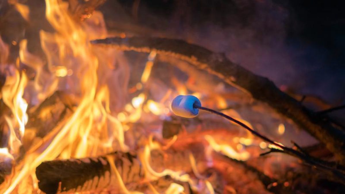 Alberta Wildfire downgrades fire ban to advisory in Forest Protection ...