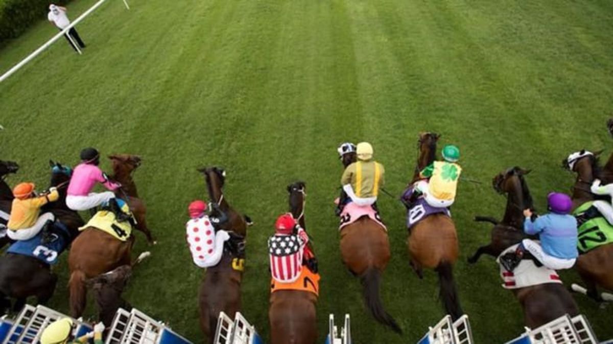 Thoroughbreds are finally off and running at Woodbine Racetrack in ...