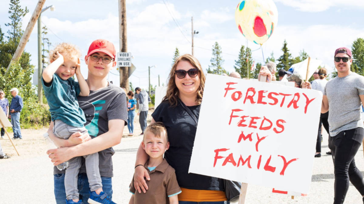 ‘This is just the beginning’: Another forestry rally planned for ...