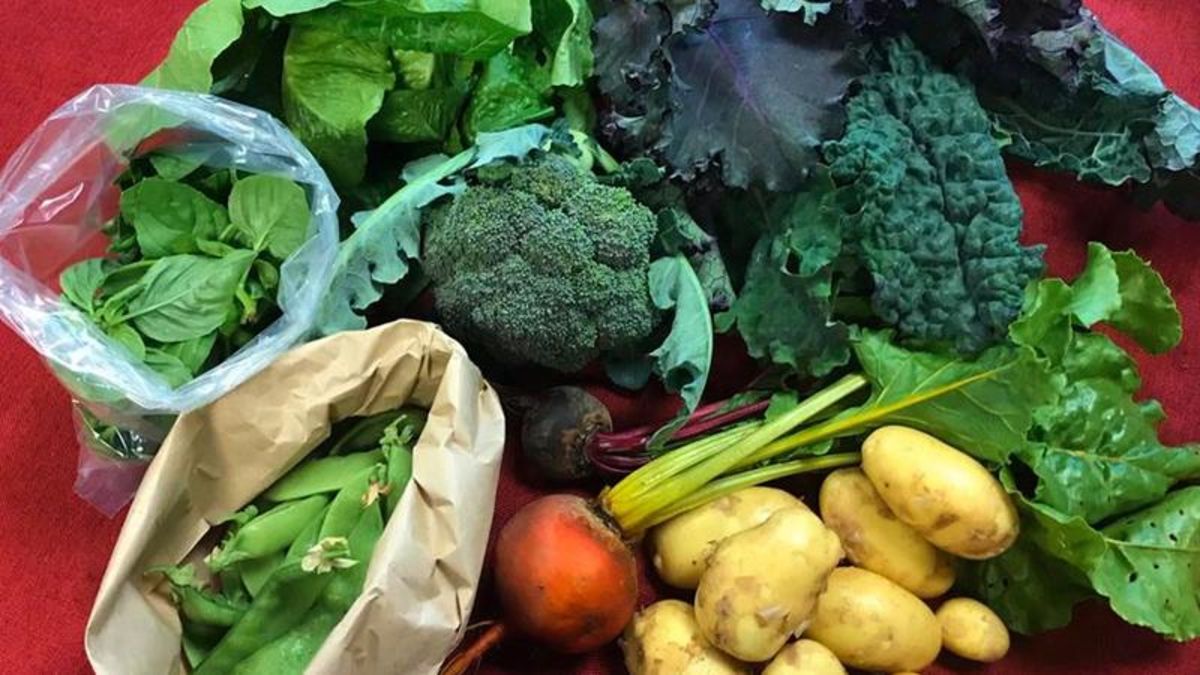 Demand for fresh produce doubles via Nanaimo growers co-op food box ...