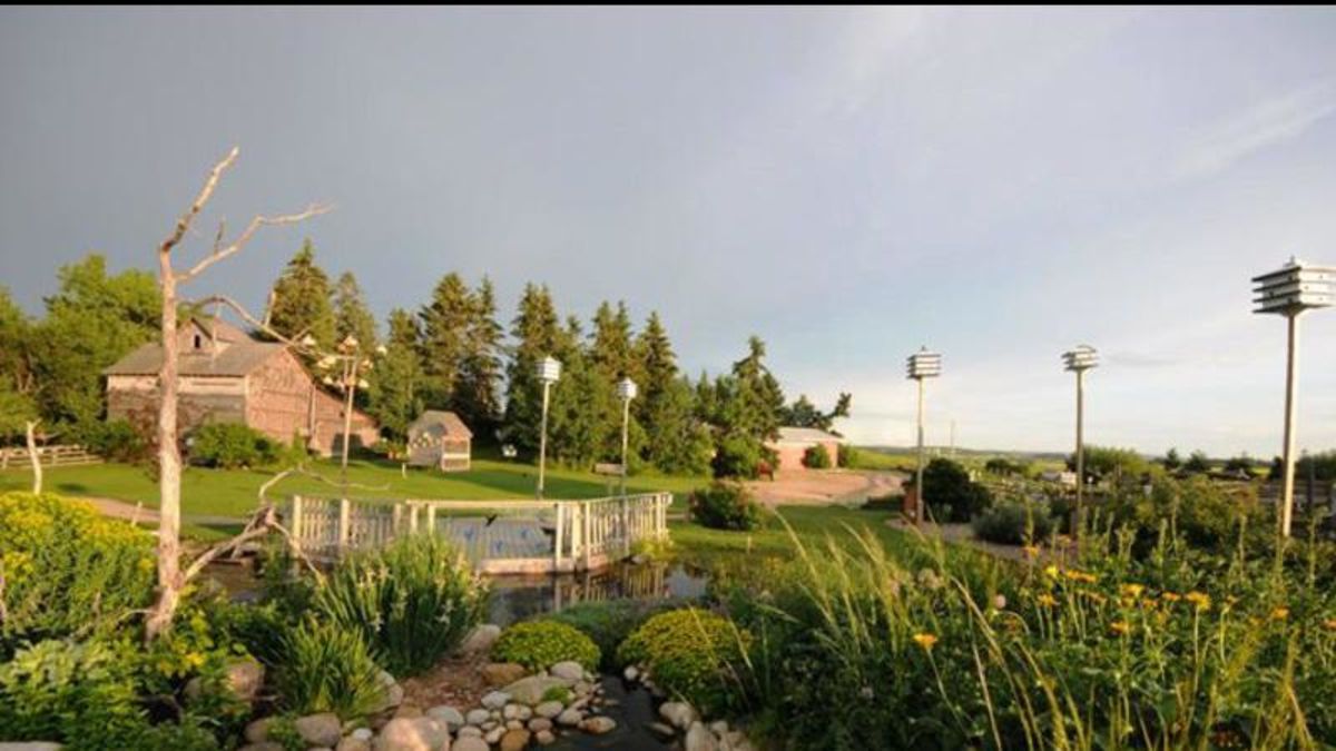 Ellis Bird Farm official Viewpoint Bridge opening and Blue Feather ...
