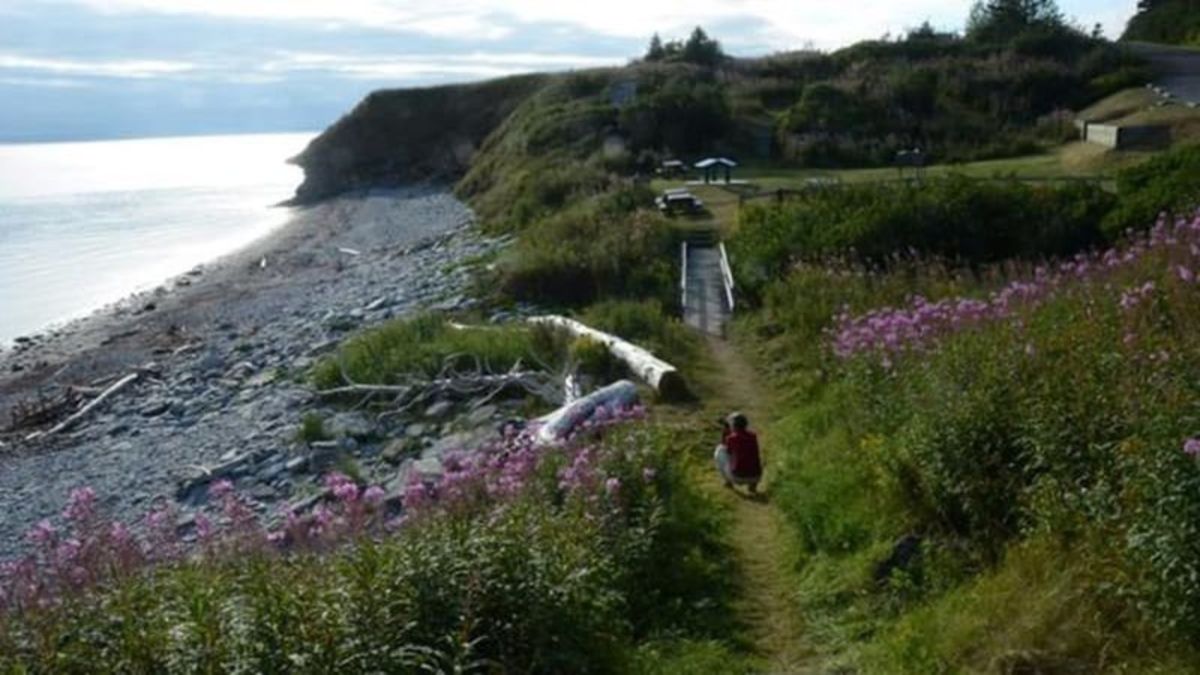 Quebec tourists ‘invade’ public beaches in Gaspe region, fuelling ...