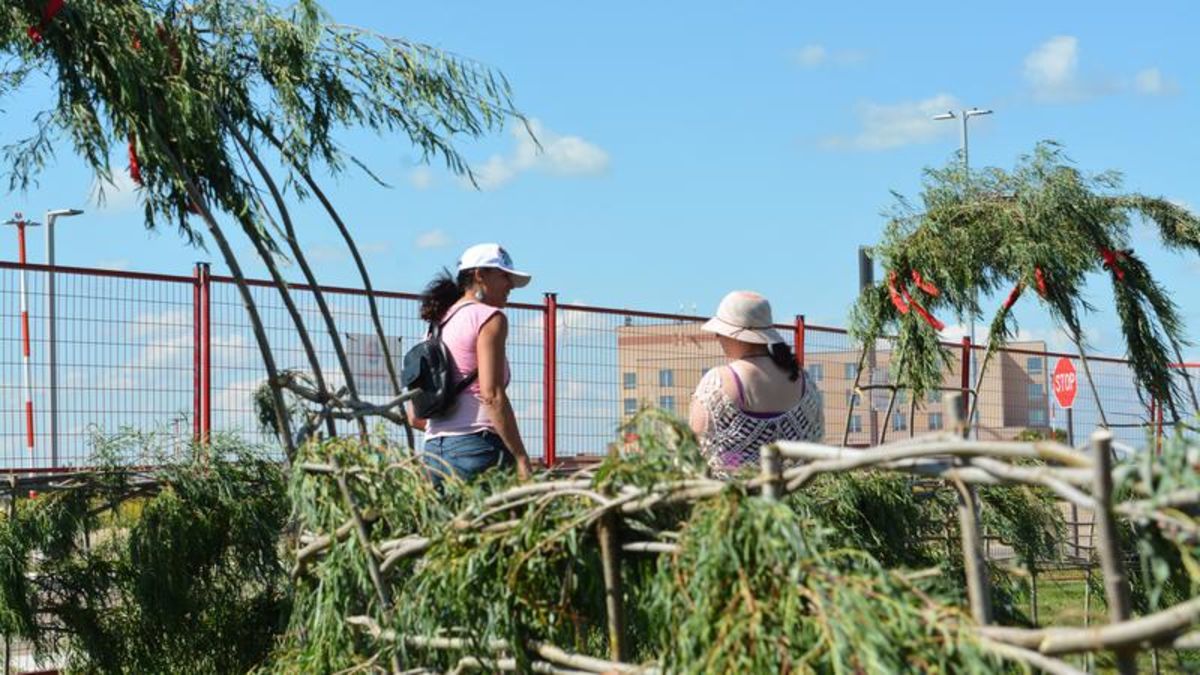 Interpretive willow pathway unveiled at Field House | paNOW