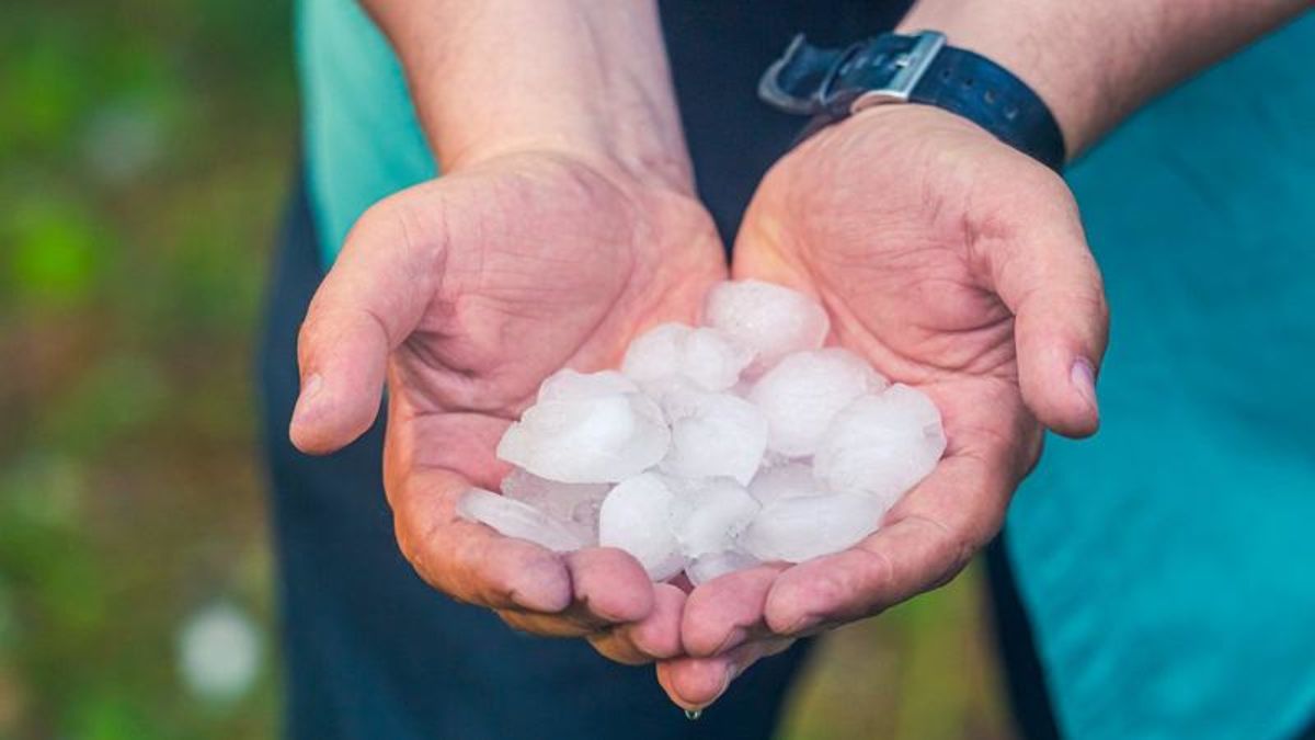 Hail damages crops as harvest starts on the prairies | northeastNOW