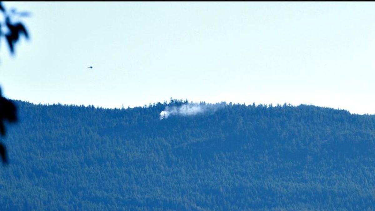 Fire breaks out atop Mt. Benson, Coastal Fire Centre tackling the blaze ...