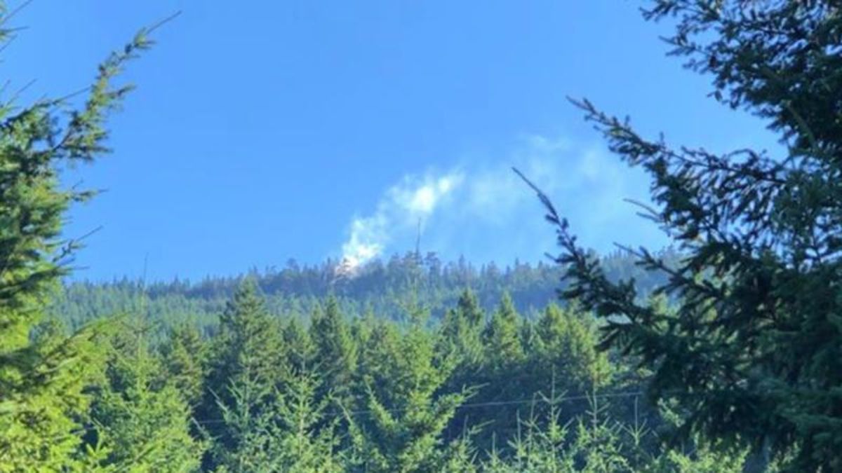 Early reporting, quick response by fire crews has Mt. Benson fire under ...