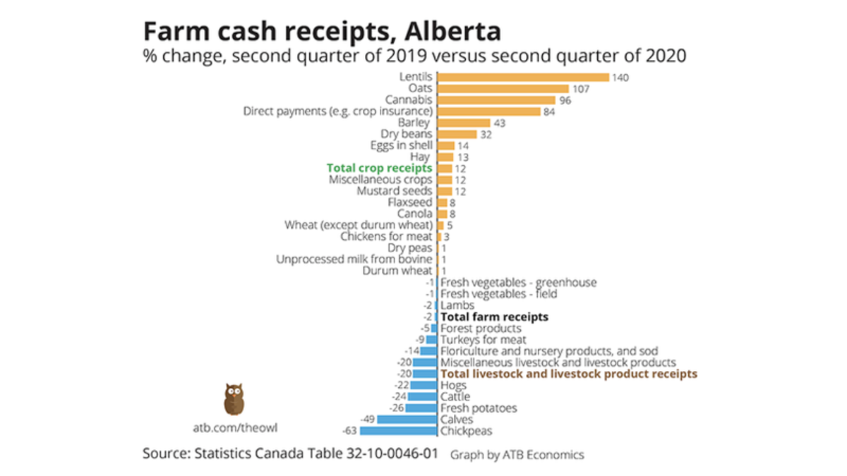 Farm cash receipts in Alberta down slightly from last year: ATB ...
