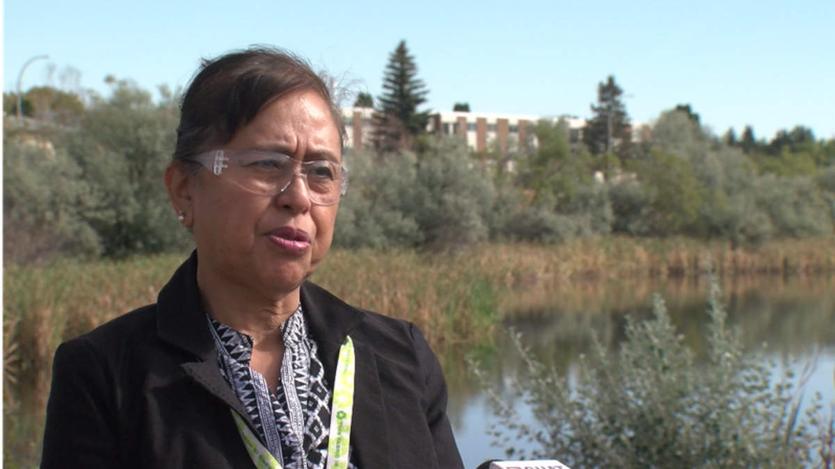 SEAWA’s riparian area revegetation project finishes third year | CHAT ...