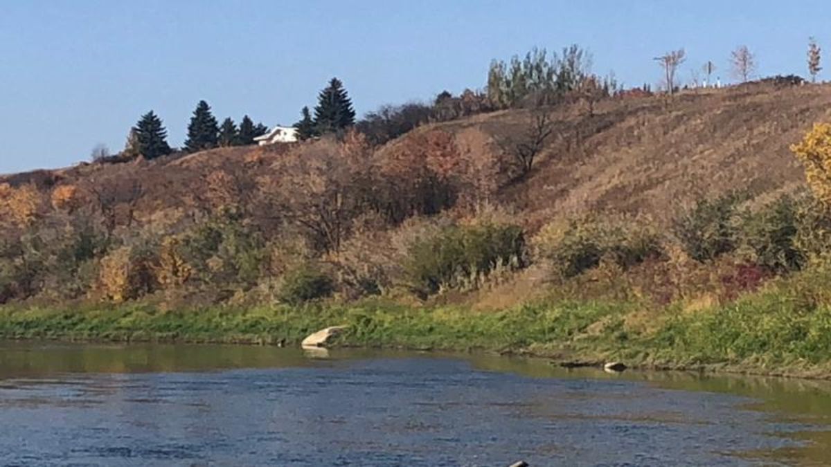 Man rescued after driving off cliff near Sask. ferry crossing ...