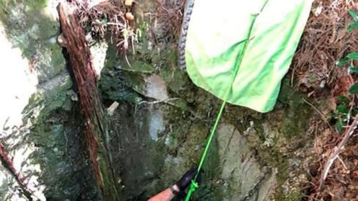 Dog trapped in 30-foot hole lured to safety with beef jerky | paNOW