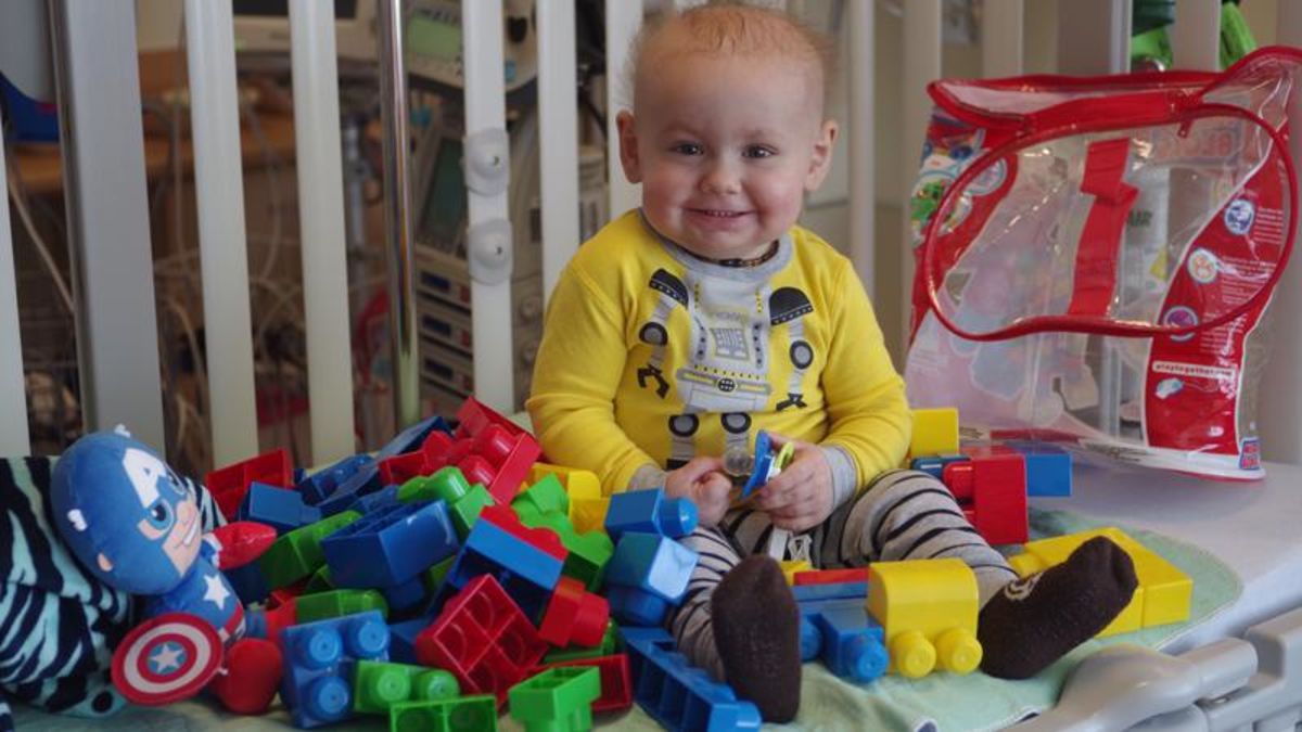 #dominicstrong auction keeps Dominic Rooney’s legacy alive | CHAT News ...