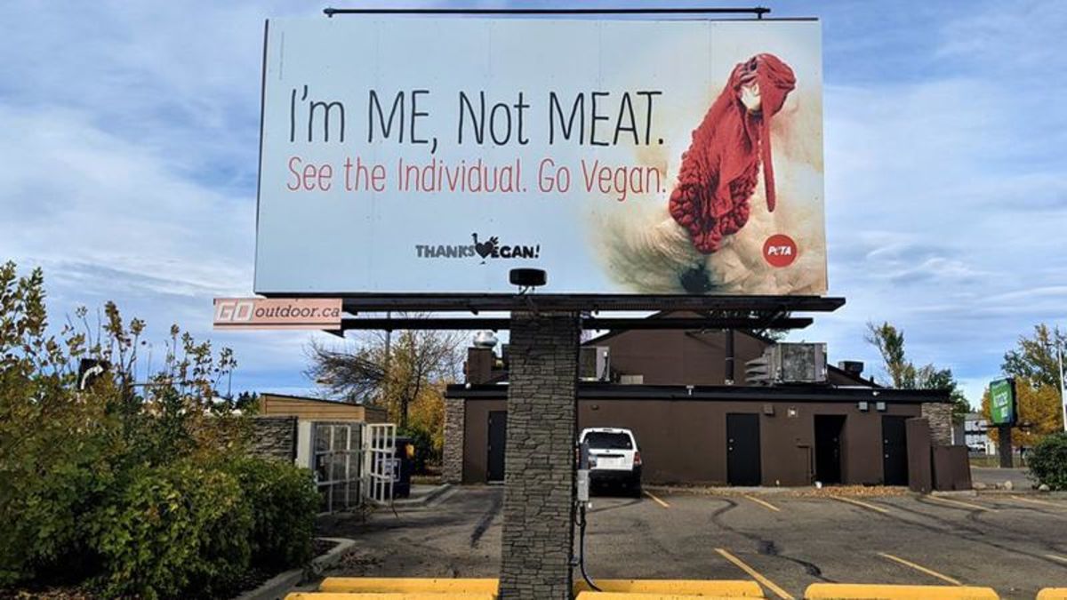 PETA billboard near Red Deer steakhouse staying put | rdnewsnow.com
