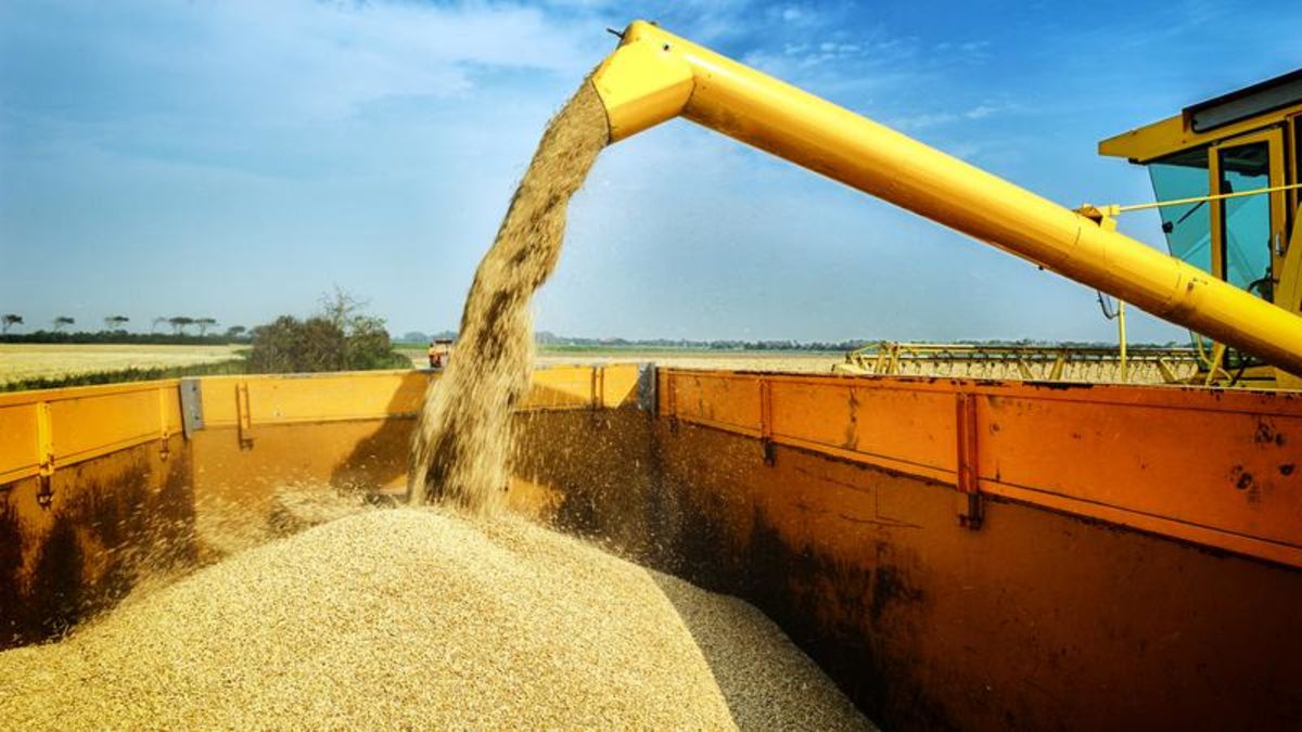 Harvest progress ahead of five-year average | farmnewsNOW