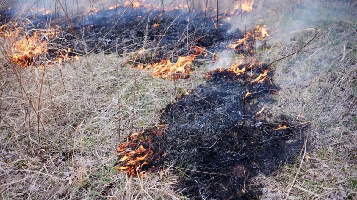 BCWS burning woody debris to reduce wildfire risk near weather stations ...