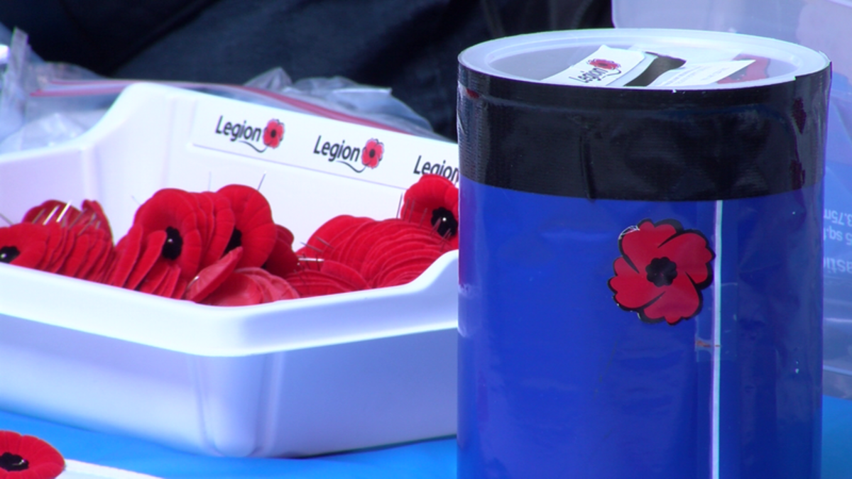 2020 legion poppy campaign underway | CHAT News Today