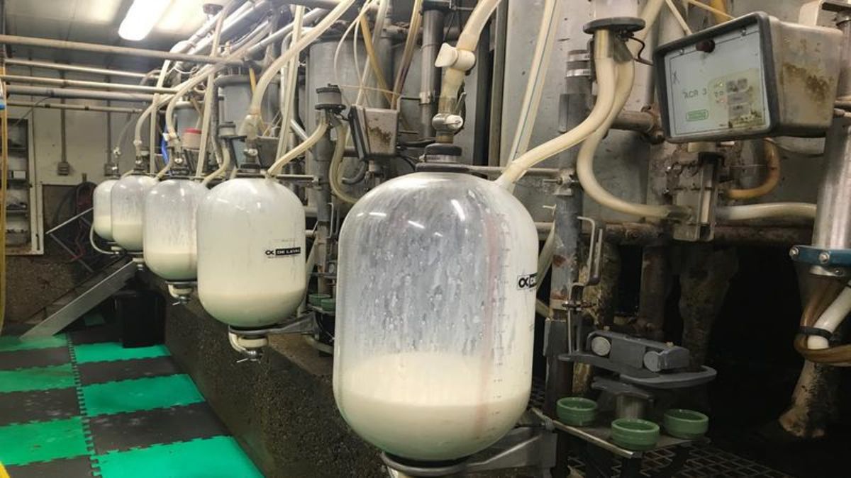 Moo-ving forward with a business plan brings peace of mind | farmnewsNOW