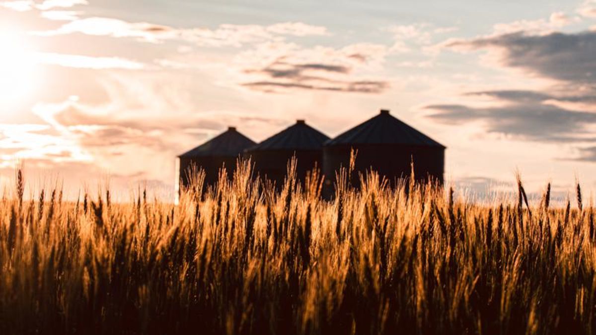 GGC says virtual meetings draw record engagement levels | EverythingGP