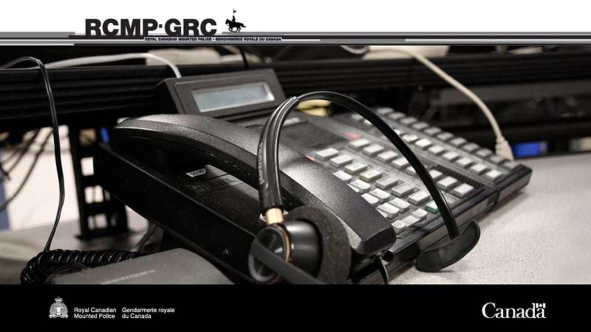RCMP release top 10 #ReasonsNotToCall911 of 2020 | paNOW