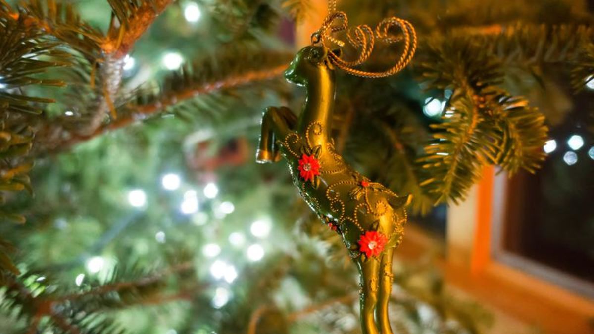 Christmas tree collection starts Saturday, Jan. 9 in Lethbridge ...