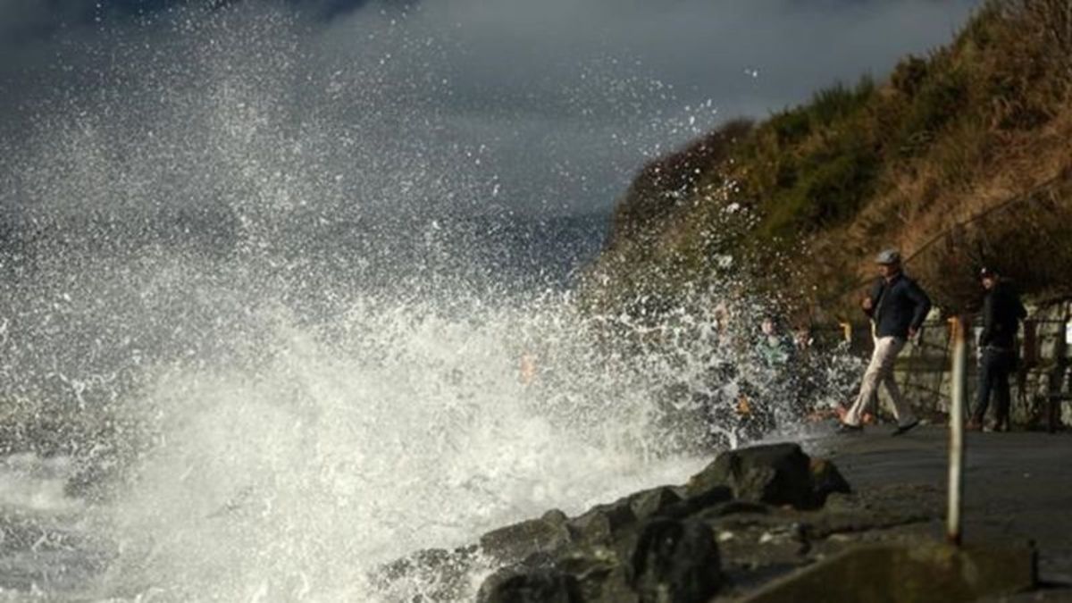 Wind Rain Snowfall Warnings Posted As Storm Hammers Most Of Coastal B