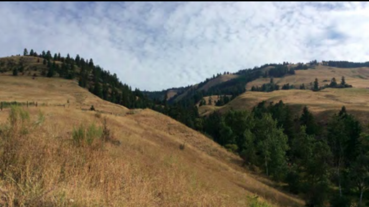 Coldstream Ranchlands Park rustles up support | Vernon Matters