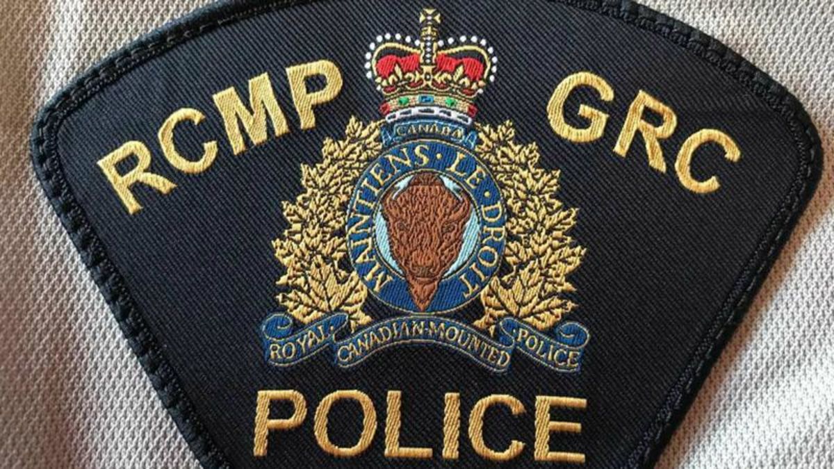 Fort Macleod RCMP investigating fatal collision | Lethbridge News Now