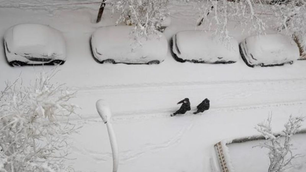 Blizzard covers Spain in white, brings Madrid to standstill | meadowlakeNOW