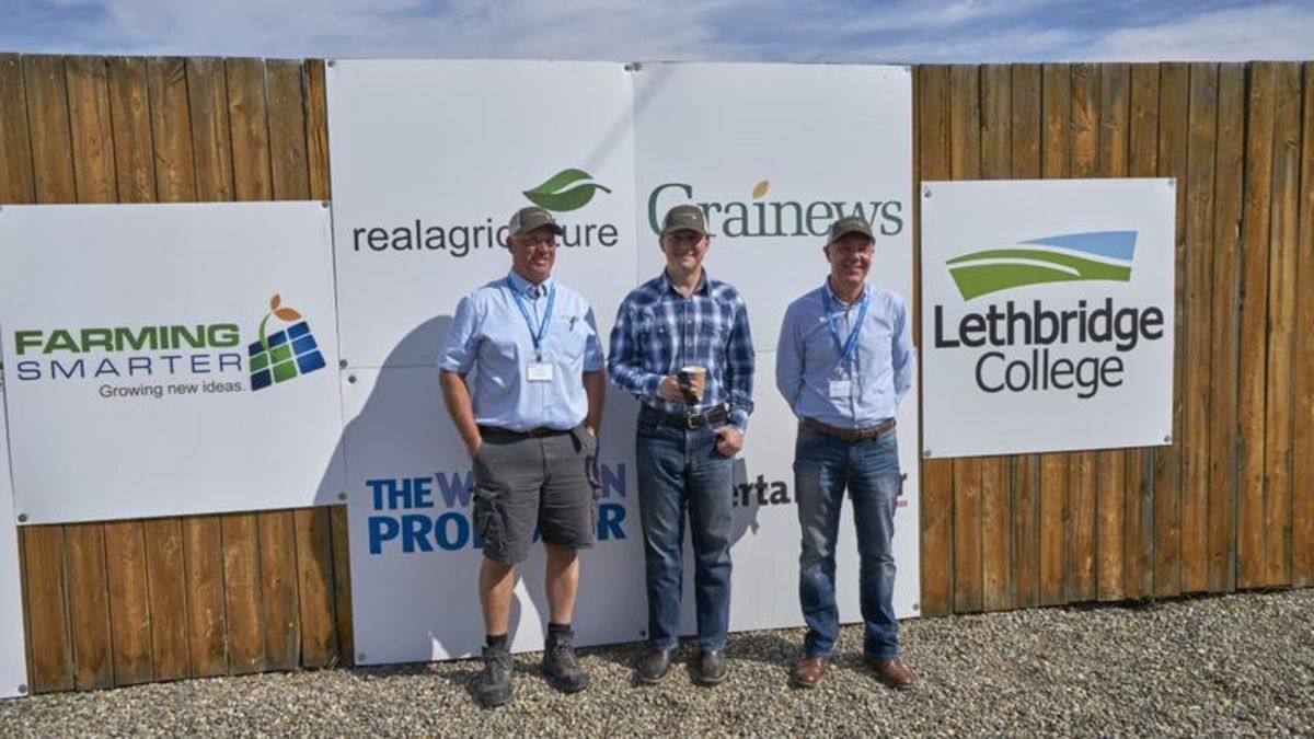 Lethbridge College and Farming Smarter studying how to increase canola ...