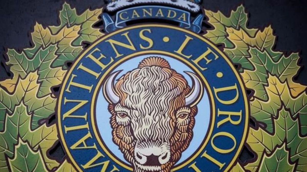Security committee of MPs, senators to review RCMP’s federal policing ...