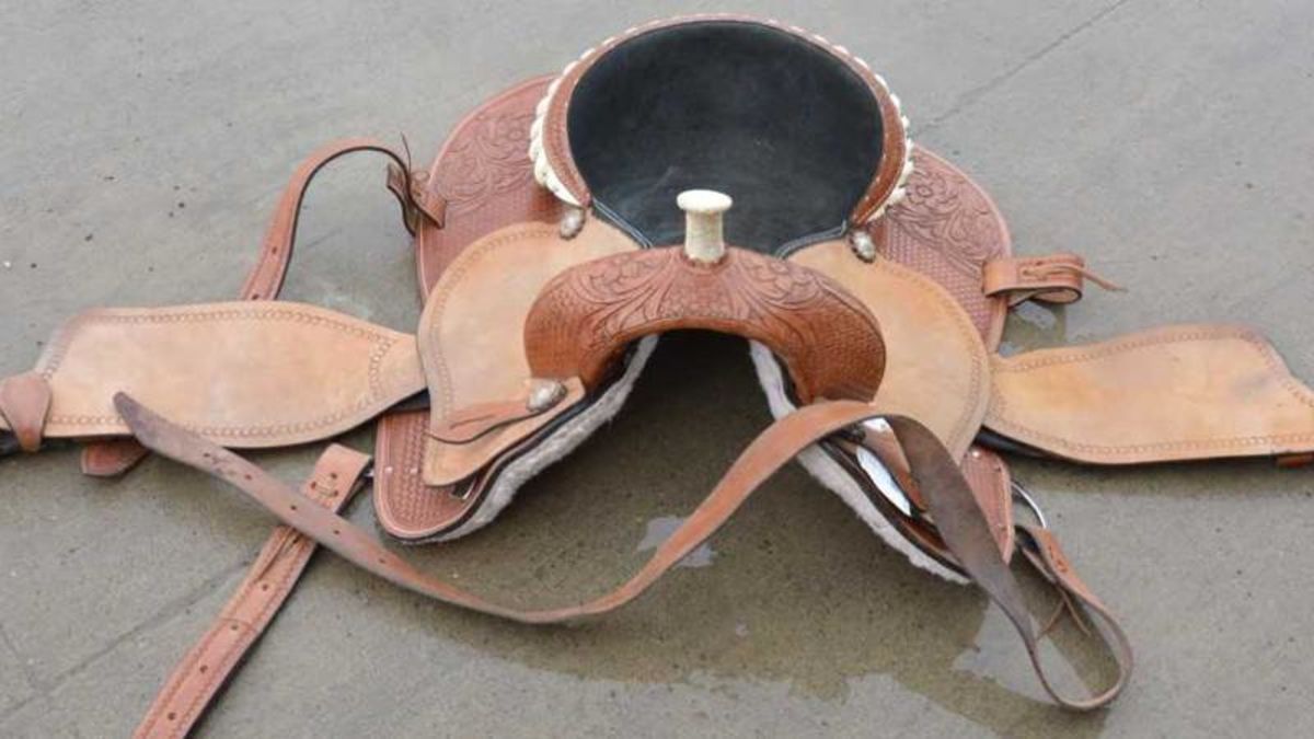 Is this your saddle? RCMP look for rightful owner | CKPGToday.ca
