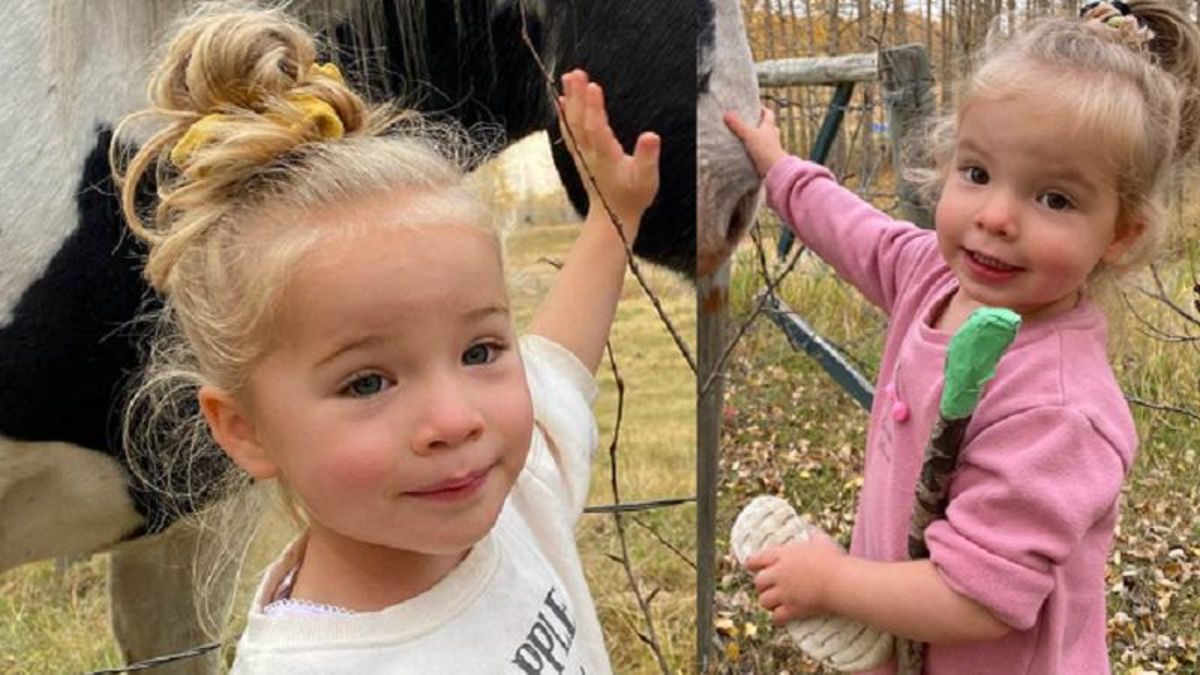 Search still on for two girls missing from Cochrane | rdnewsnow.com