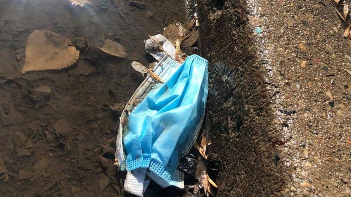 Disposable masks risk blocking P.A. sewer lines | paNOW