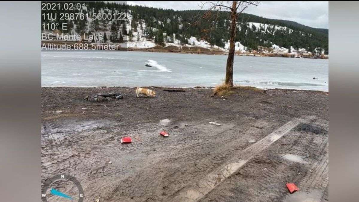 ‘Nobody is protecting this lake’: Stewards of Monte Lake continue ...