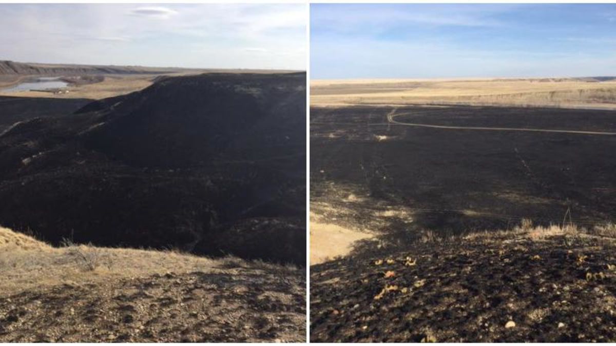 Crews take down grass fire in south Hays | Lethbridge News Now