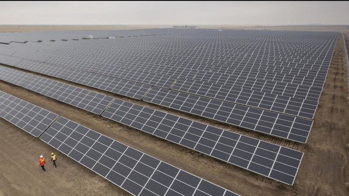 Enbridge solar farm near Burdett is now operational | Lethbridge News Now