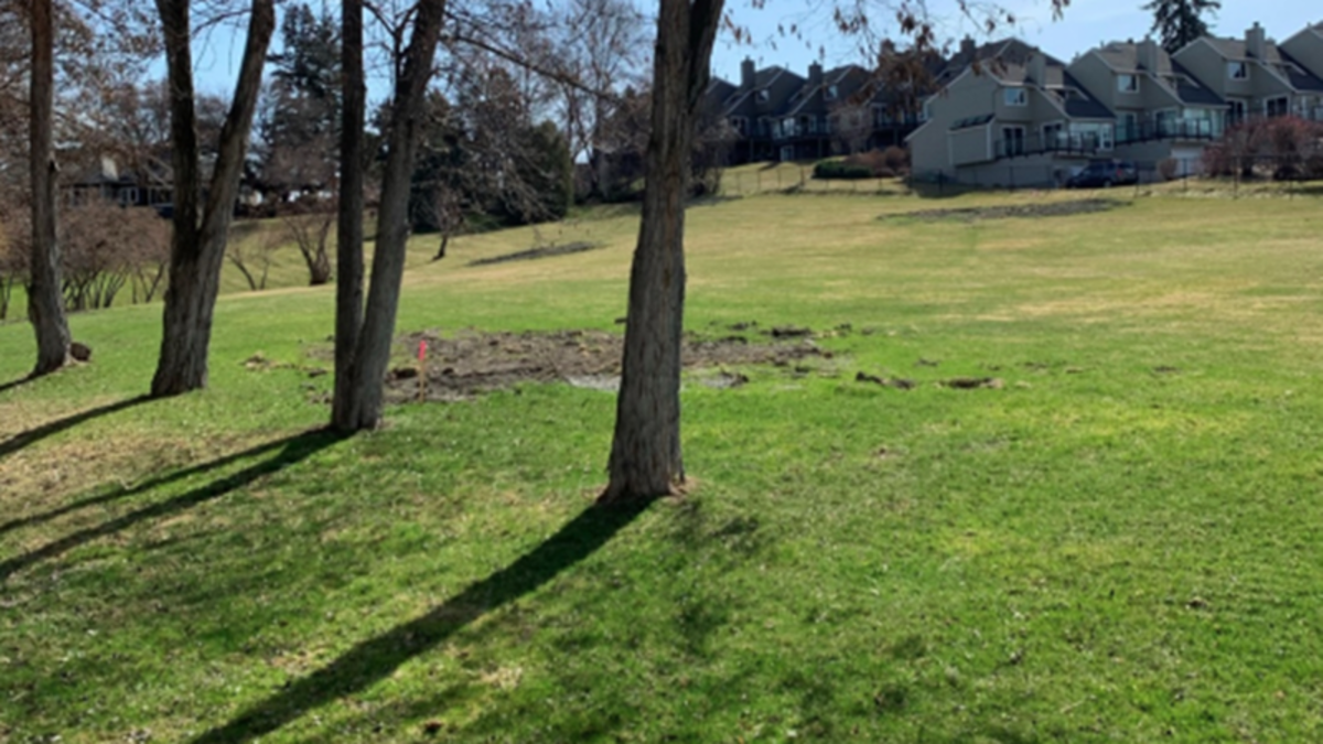 Multi-family housing development approved for Coldstream | Vernon Matters