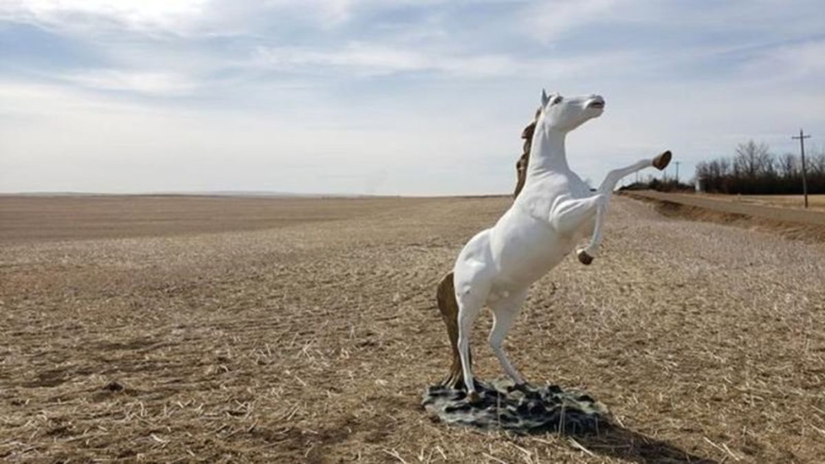 Mounties get their unicorn; stolen statue of mythical beast found in ...