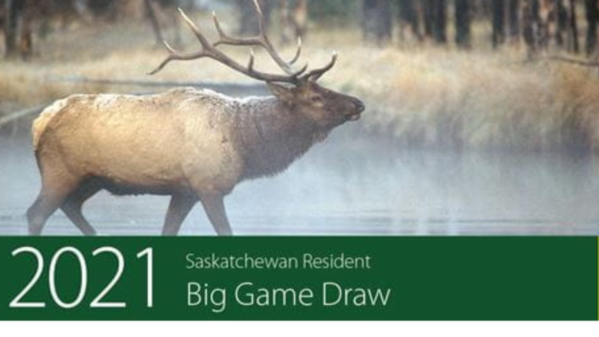 2021 Big Game Draw Opens Online May 1 | paNOW