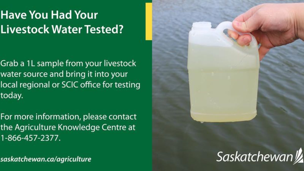 Have You Had Your Water Tested? | paNOW