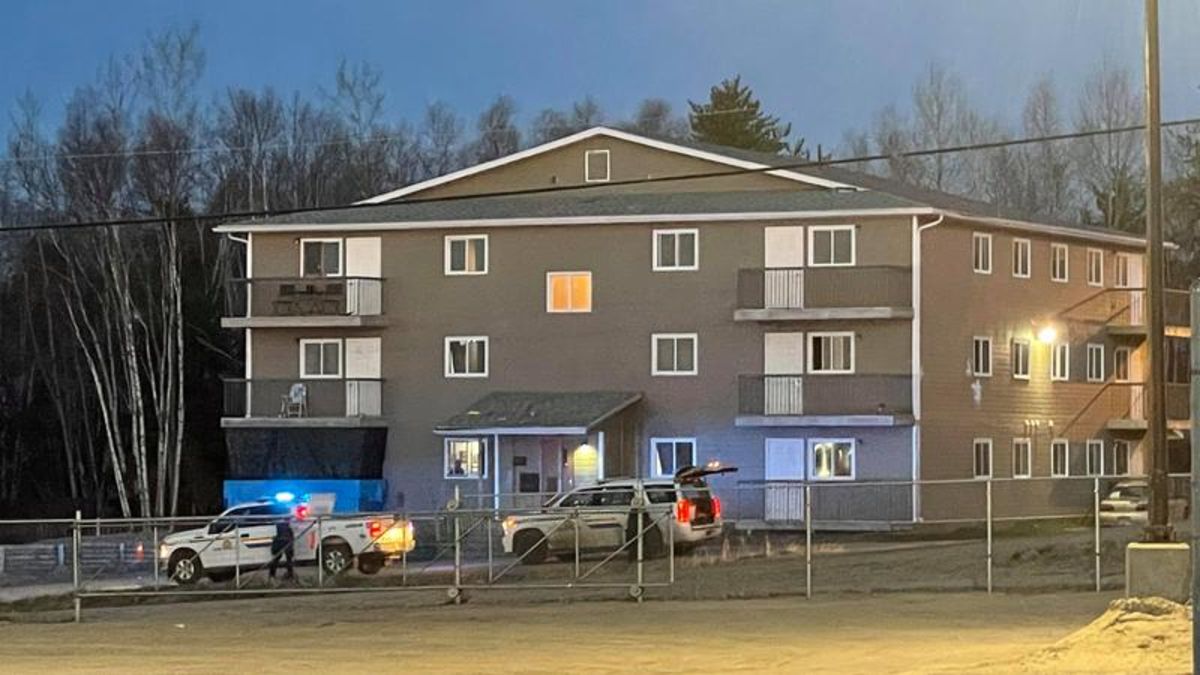 Police draw guns near Air Ronge | larongeNOW