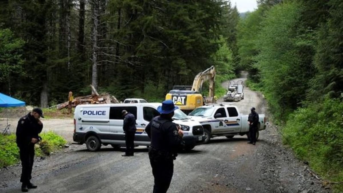 Five more arrested in B.C. old-growth logging protest | Vernon Matters
