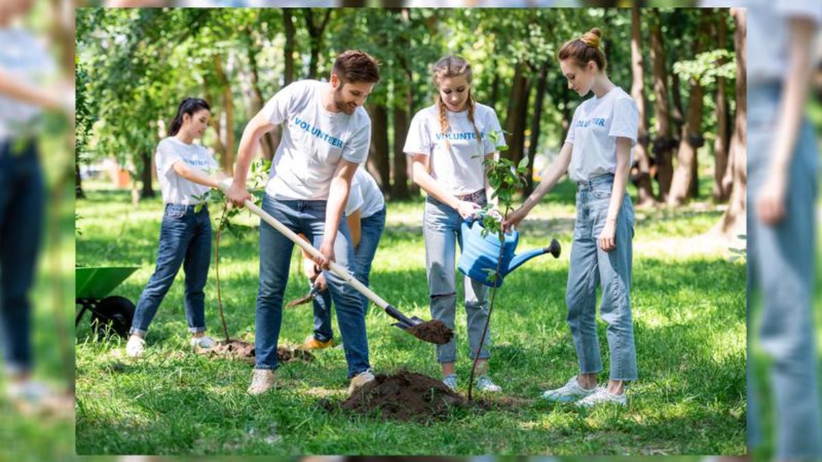 Celebrating Arbor Week with plans for more urban forestation | paNOW
