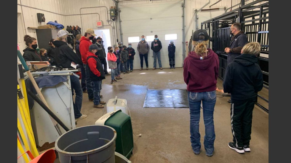 Weldon 4H Beef Report | paNOW