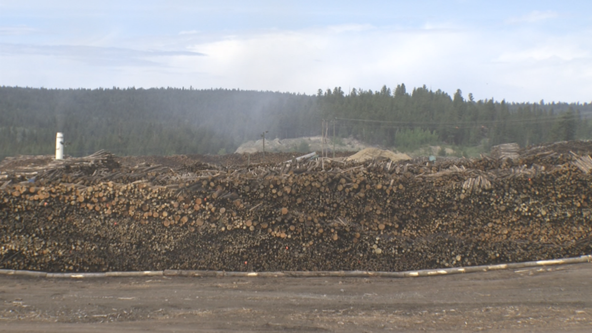 B.C. promises to double the amount of forest tenures for First Nations ...