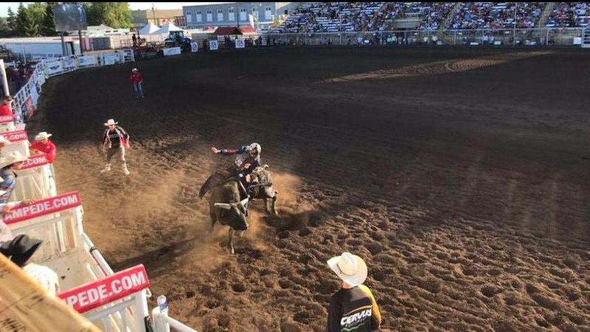 No midway or night shows for Stampede this year; working on rodeo ...