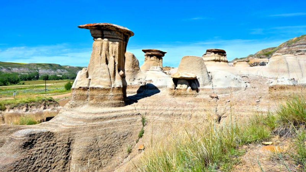 Dozens of heat records set across Alberta this week | CHAT News Today