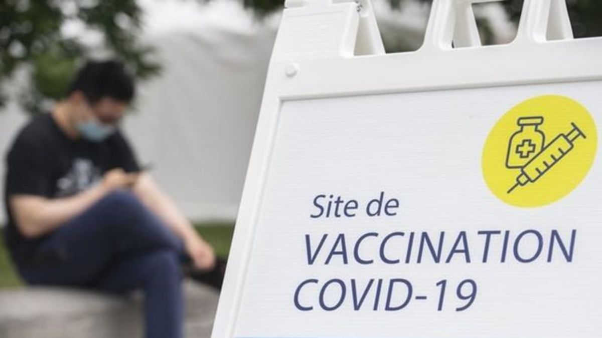 Canada to receive 2.4 million doses of COVID-19 vaccine this week ...