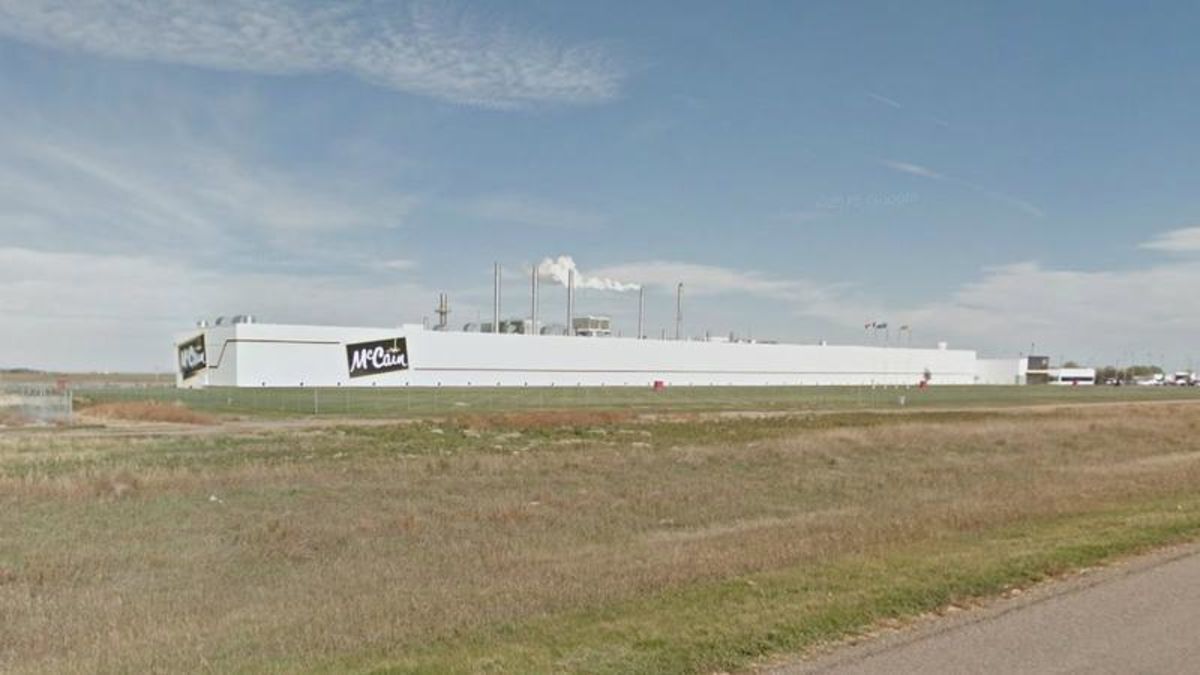 McCain Foods commits to improving climate footprint through ...