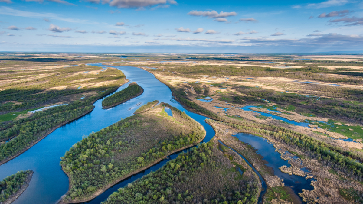 Northern Sask. First Nation claims government-owned hydroelectric ...
